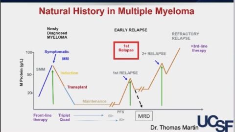 The Myeloma Treatment Landscape | The IMF at ASH2022