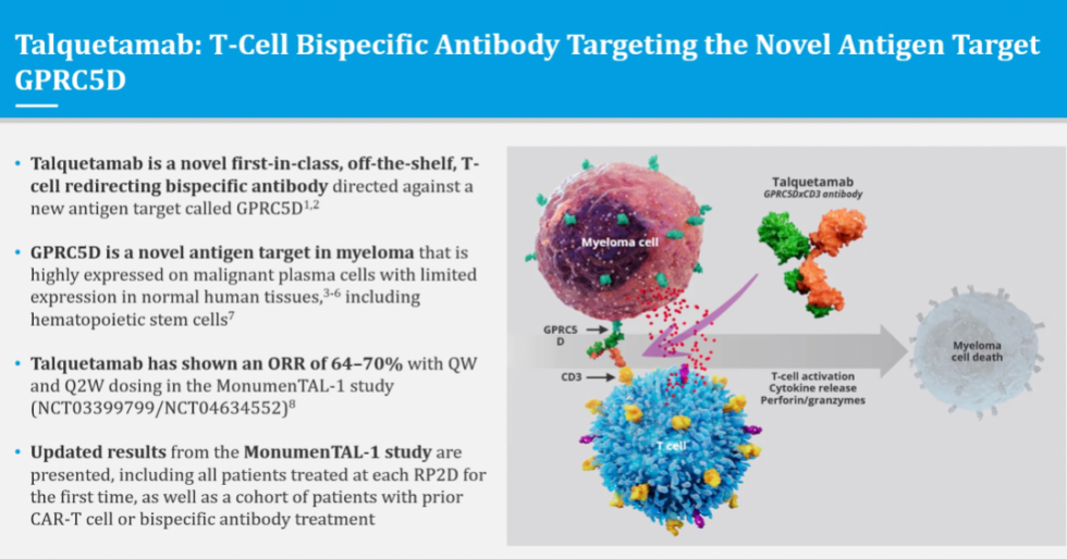 The Changing of the Targets | The IMF at ASH2022